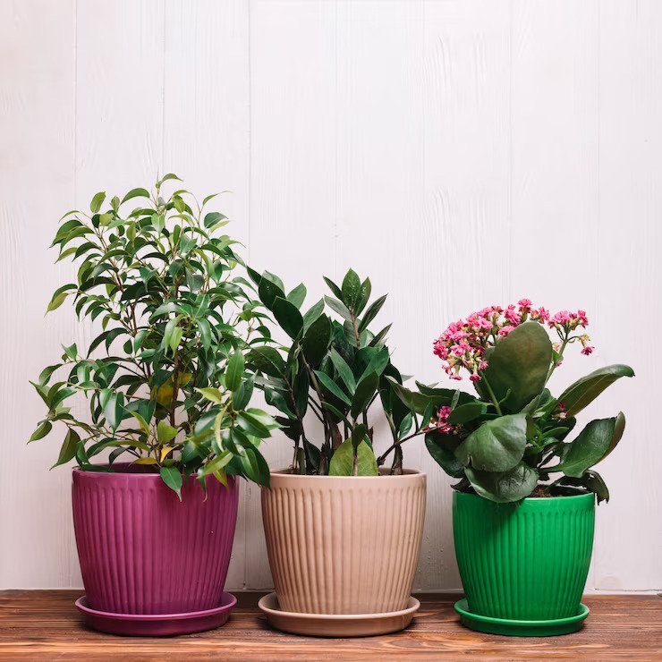 Vertical Garden Modules & Planters - Natural Vertical Garden Vertical Garden Modules & Planters - Natural Vertical Garden
